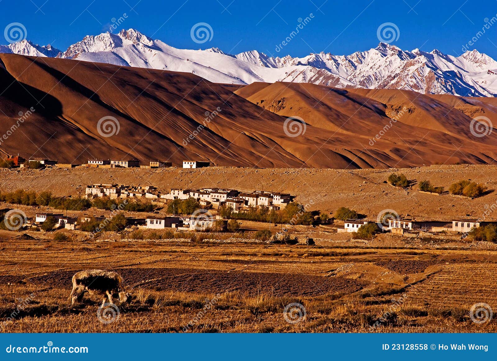 Village at the Foothill of Himalayas Stock Photo - Image of mountain ...