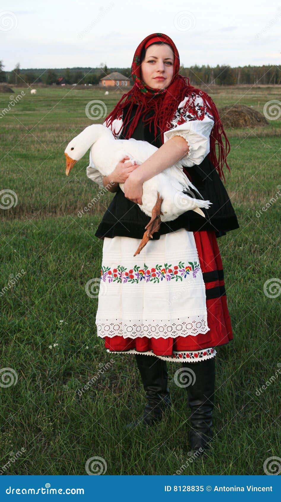 Village Girl Keeping a Goose Stock Image - Image of food, rural: 8128835