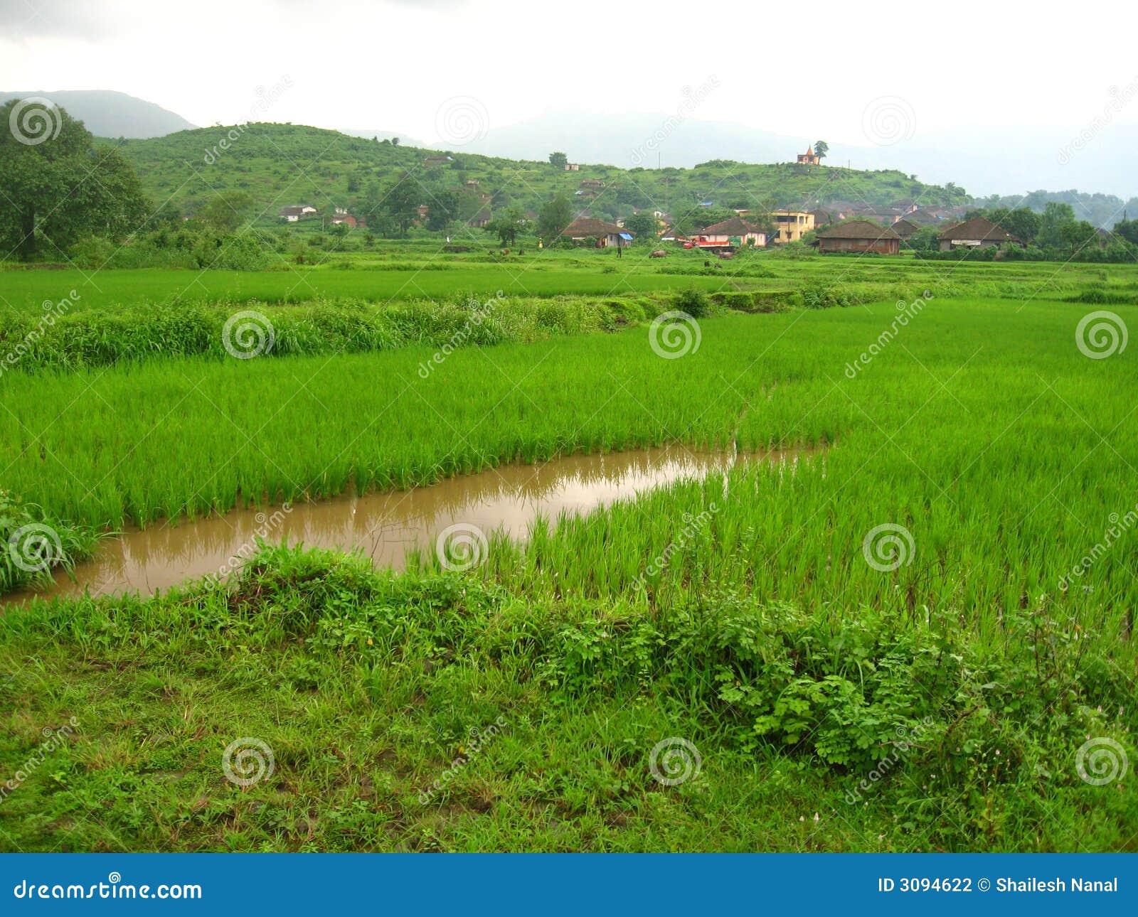 Village in Green Countryside Stock Photo - Image of farmland, scenery ...