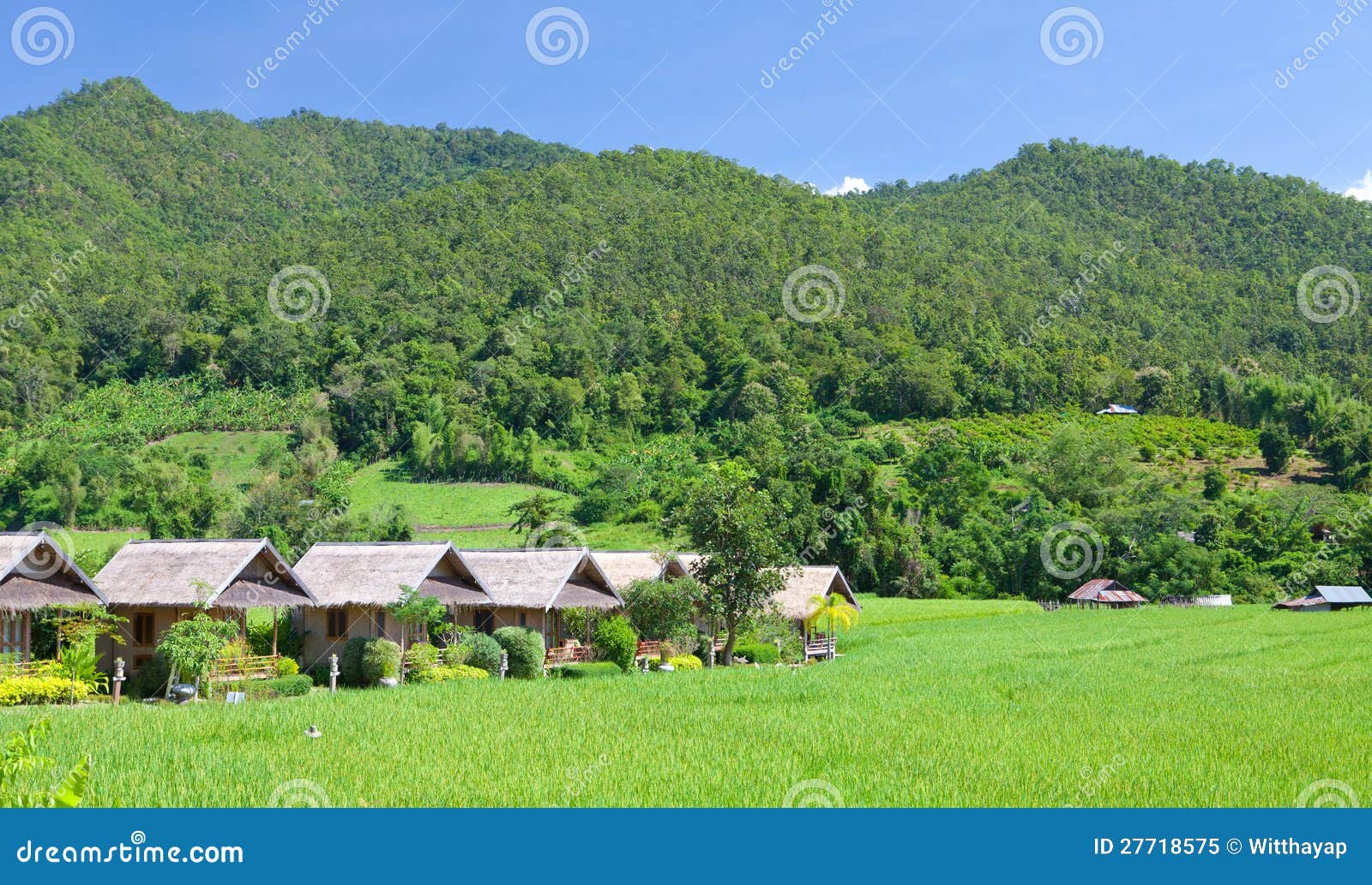 Village with green field stock image. Image of grass - 27718575