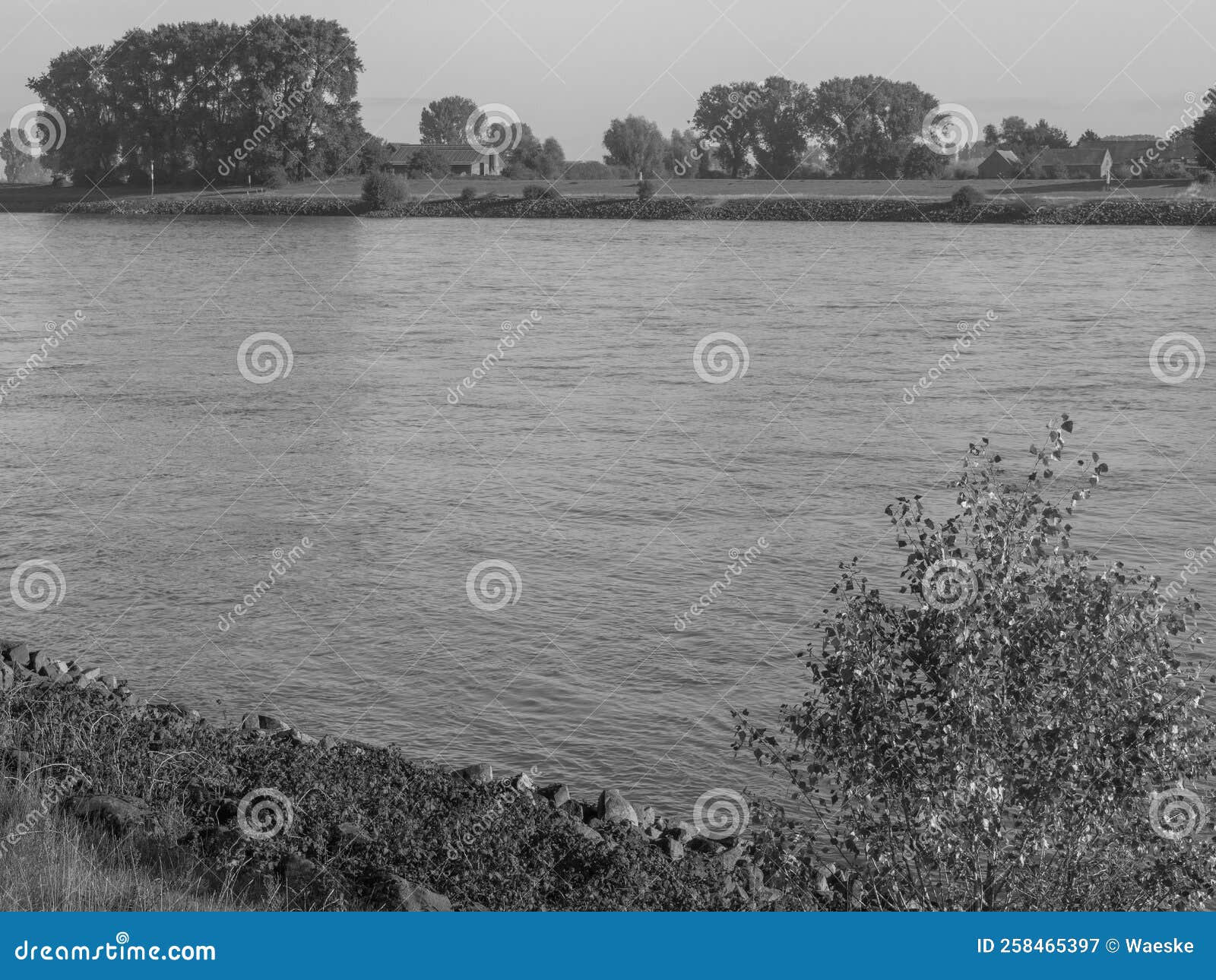 The Village of Grieth at the Rhine River Stock Image - Image of river ...