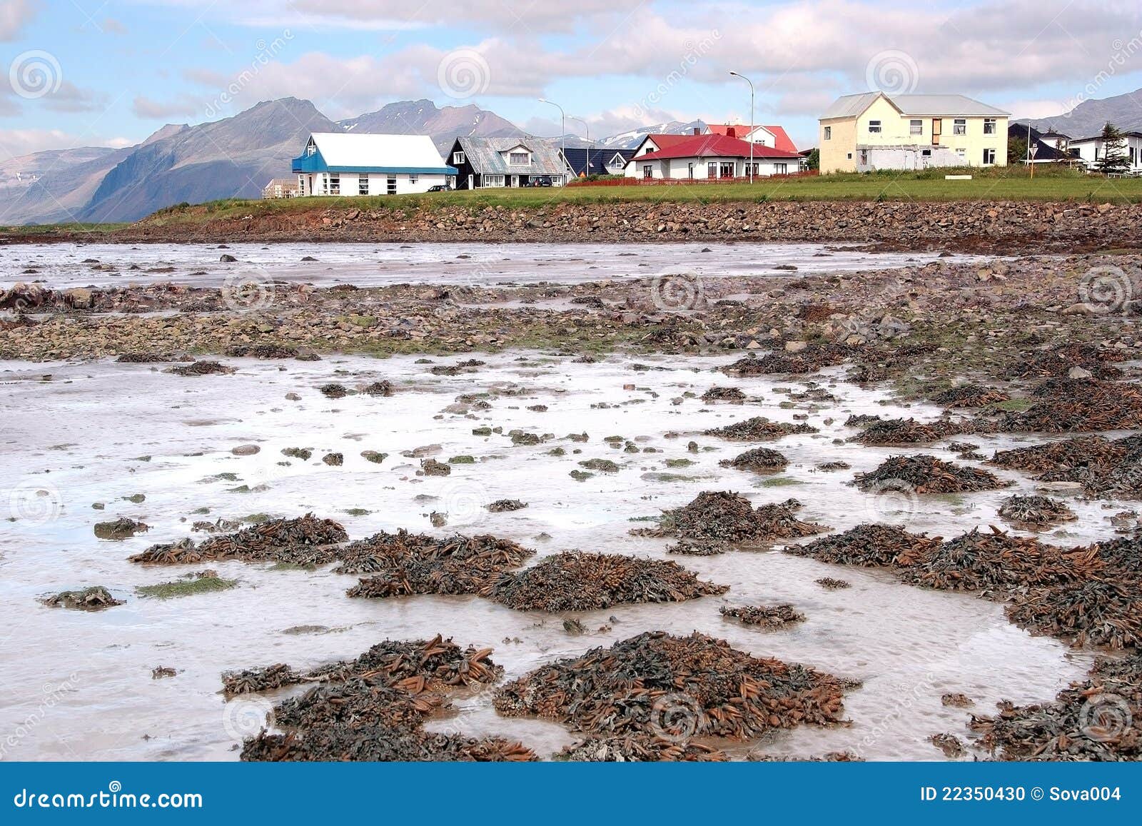 Village of Hofn stock photo. Image of river, home, iceland - 22350430