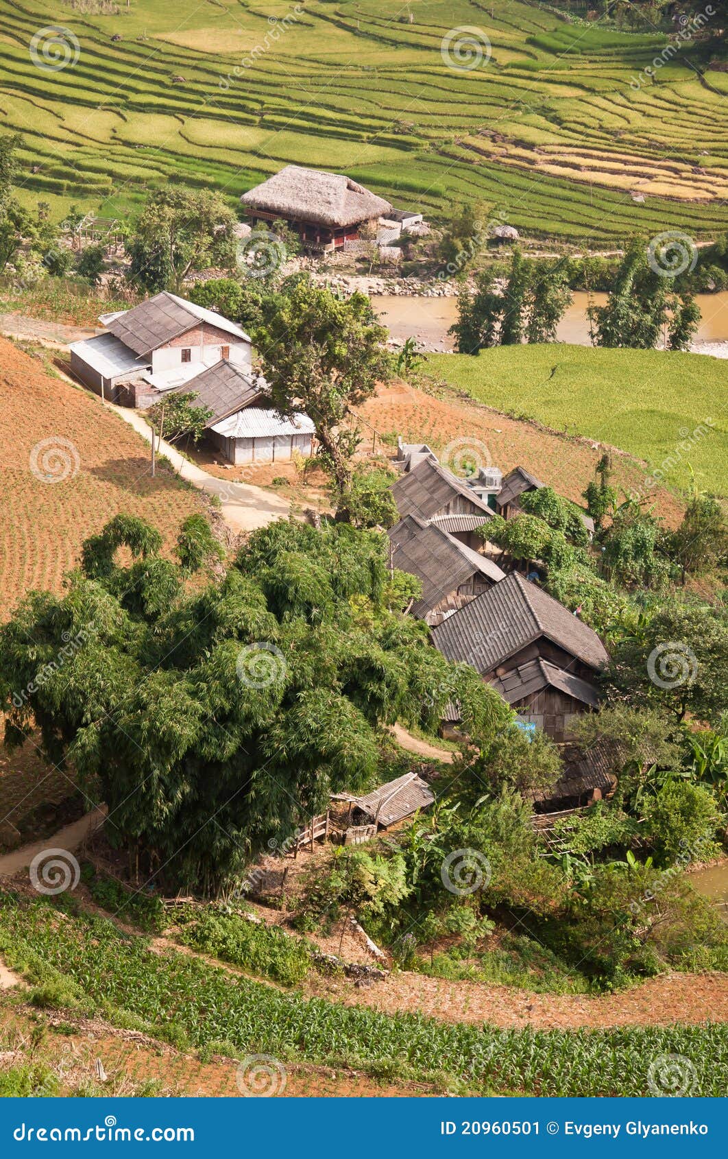 Village Houses in the Field Stock Image - Image of slope, river: 20960501