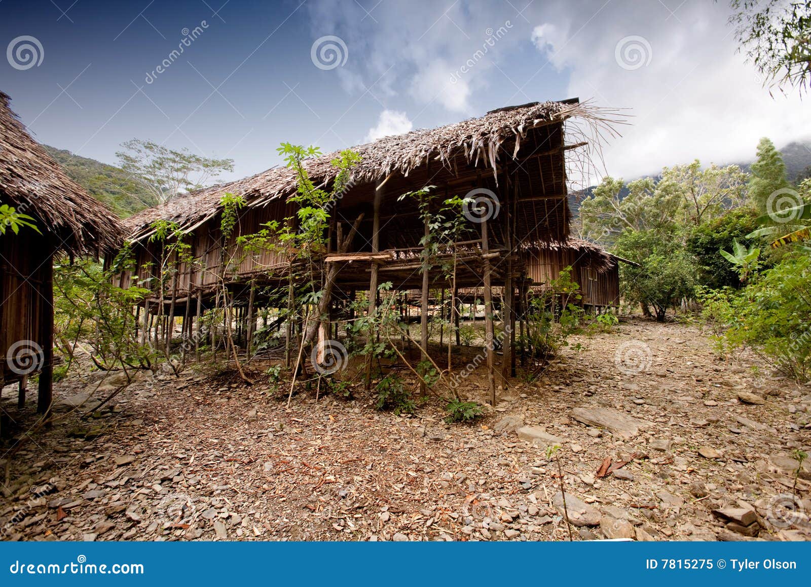 Village Hut stock image. Image of rain, papua, shack, tropic - 7815275