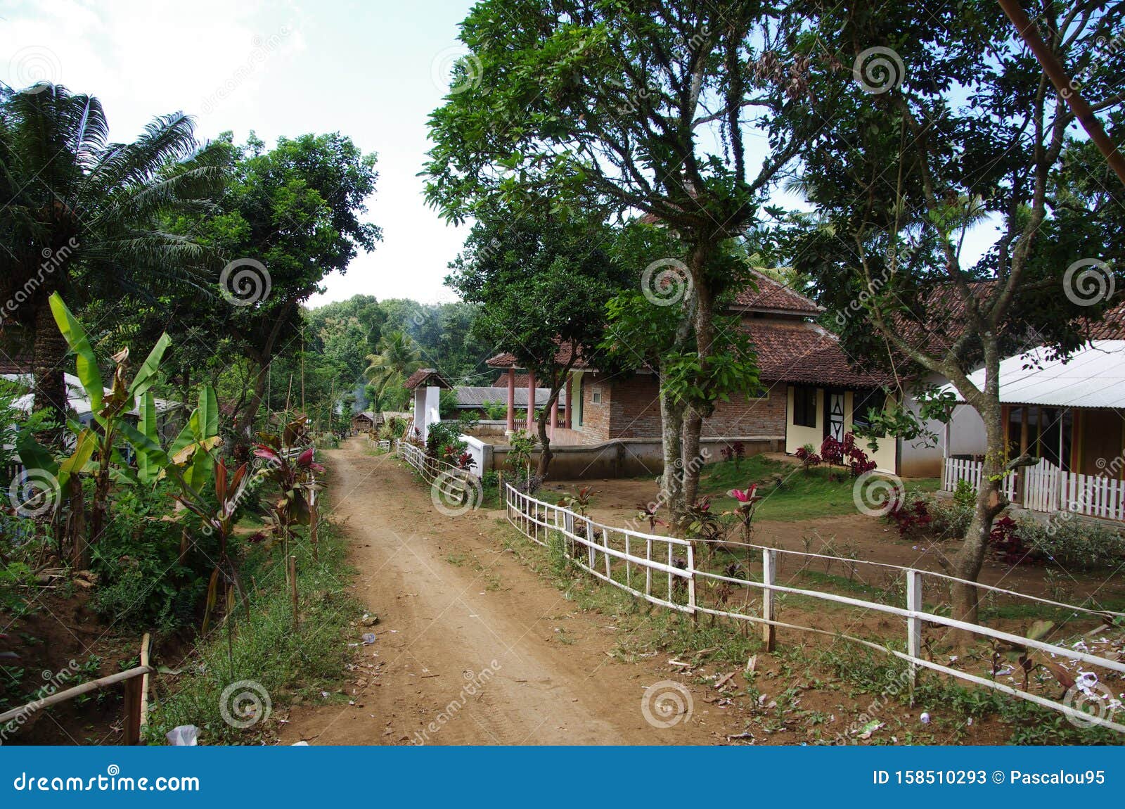 Village on the Java Island in Indonesia Stock Image - Image of road ...