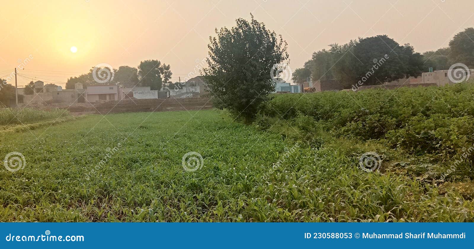 Village Khanewal Stock Photos - Free & Royalty-Free Stock Photos from ...