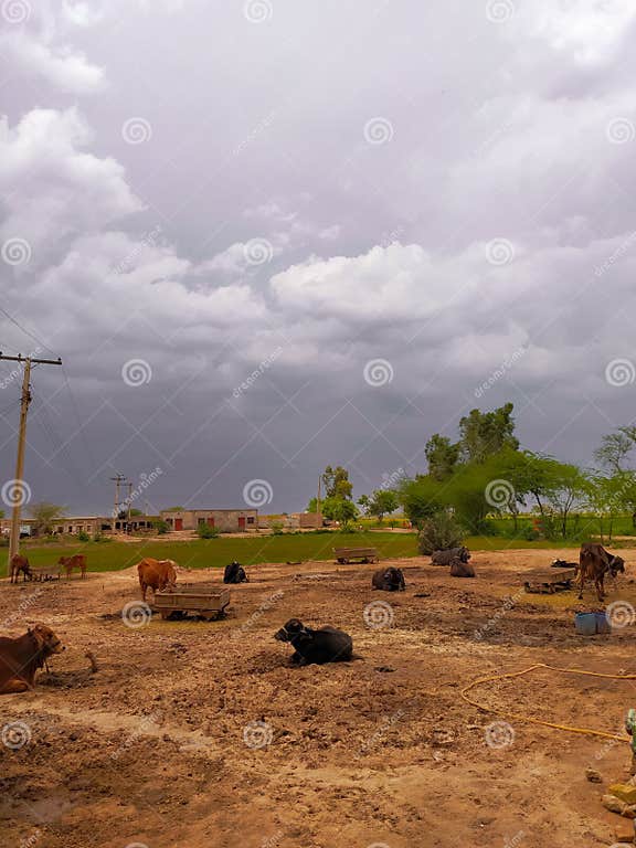 Village of khushab stock photo. Image of khushab, natural - 179628890
