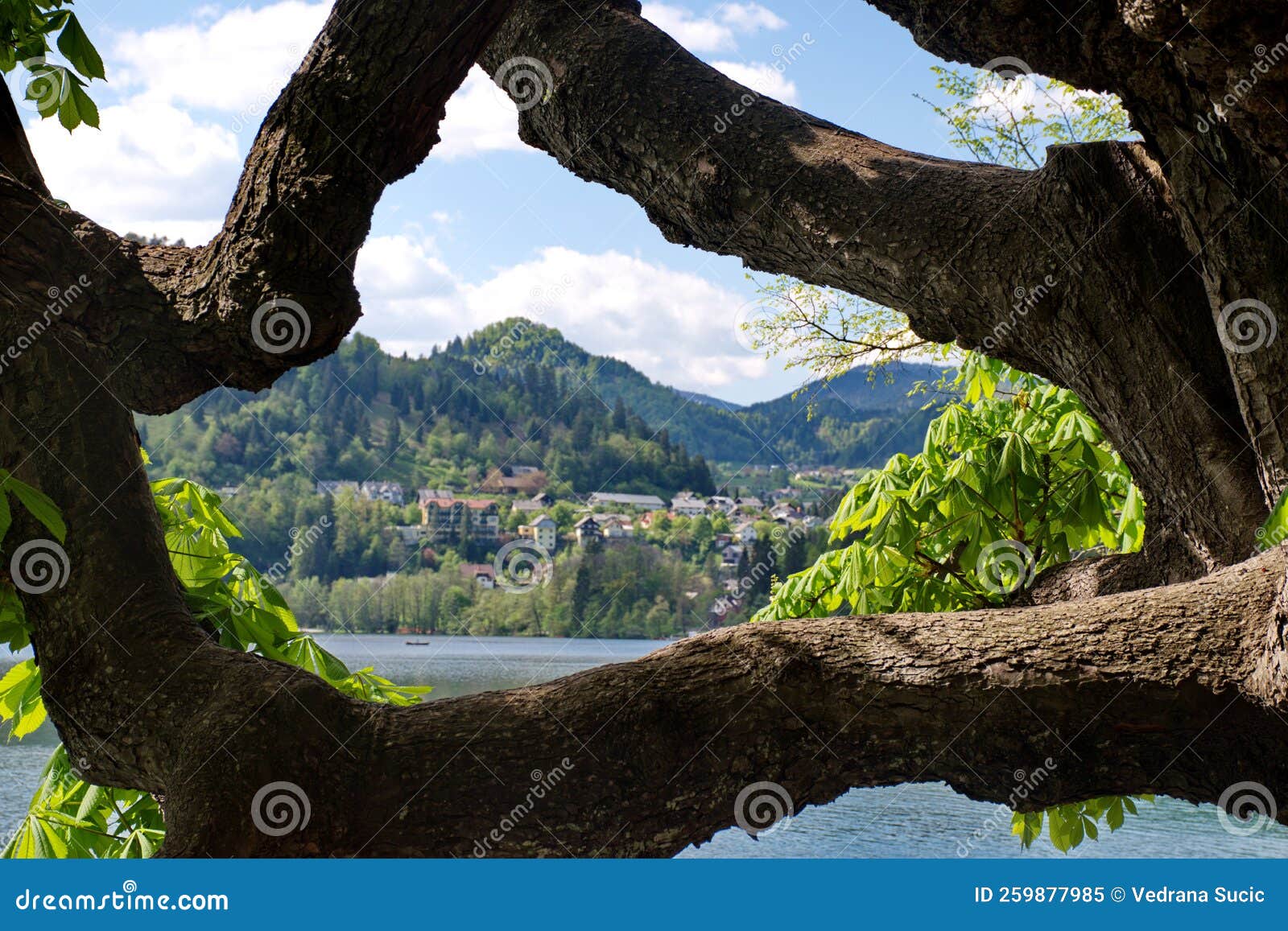Frame stock image. Image of landscape, outdoors, view - 259877985
