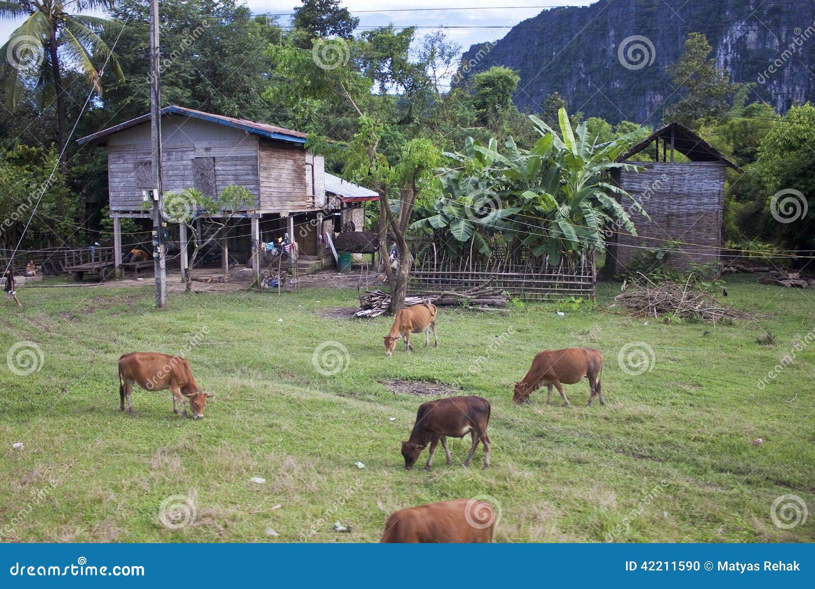 Village in Laos stock photo. Image of indochina, climate - 42211590