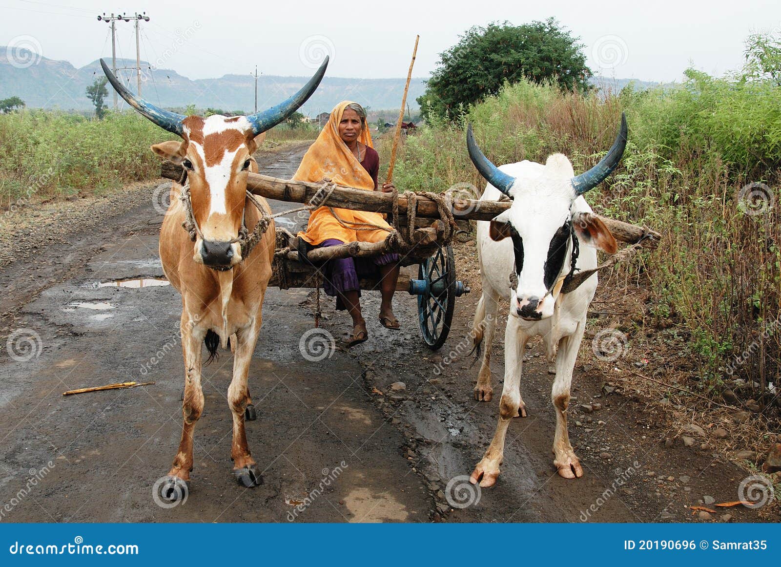 Village Life of India editorial photo. Image of traditional - 20190696