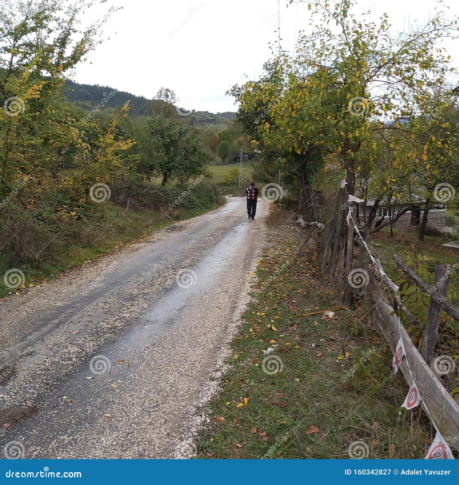 Village life in Turkey editorial photography. Image of turkey - 160342827