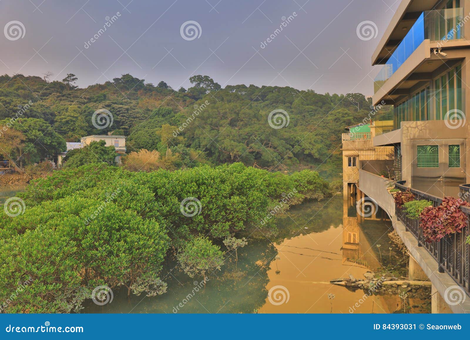 The Village of Ma Wan Chung Stock Image - Image of hong, asia: 84393031