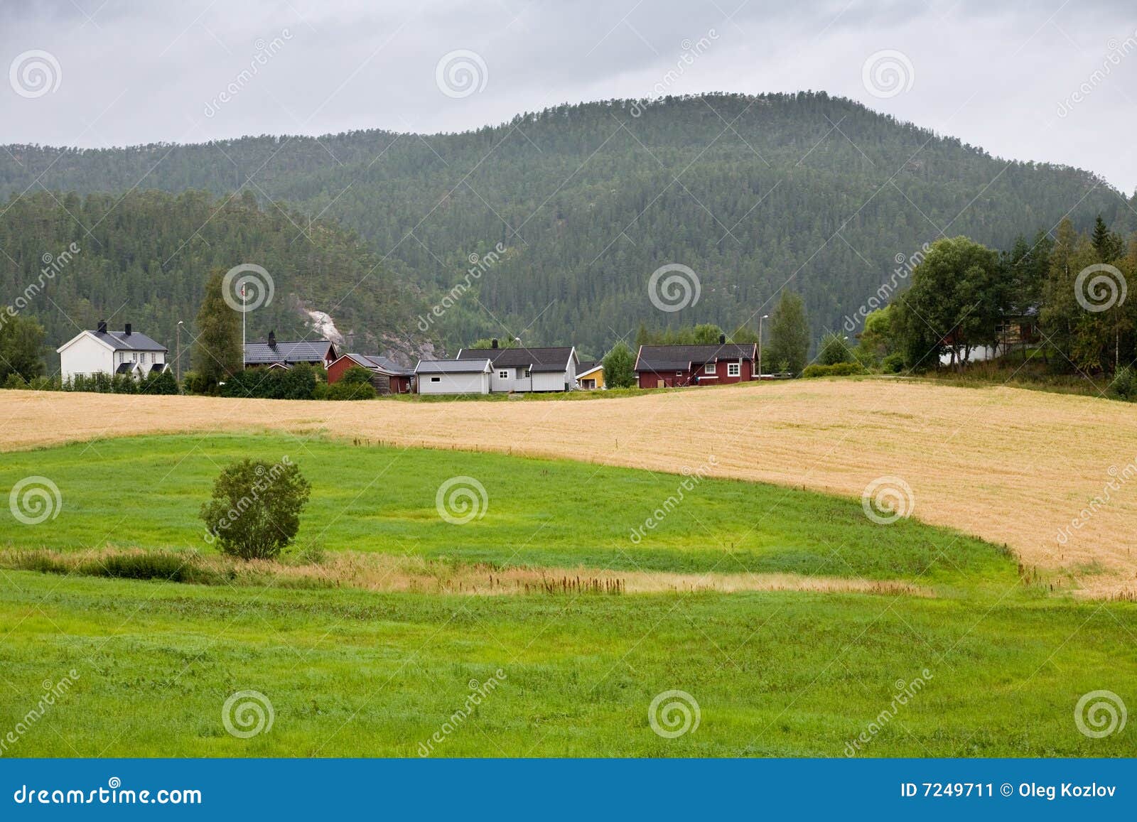 Village in mountains stock image. Image of grass, meadows - 7249711