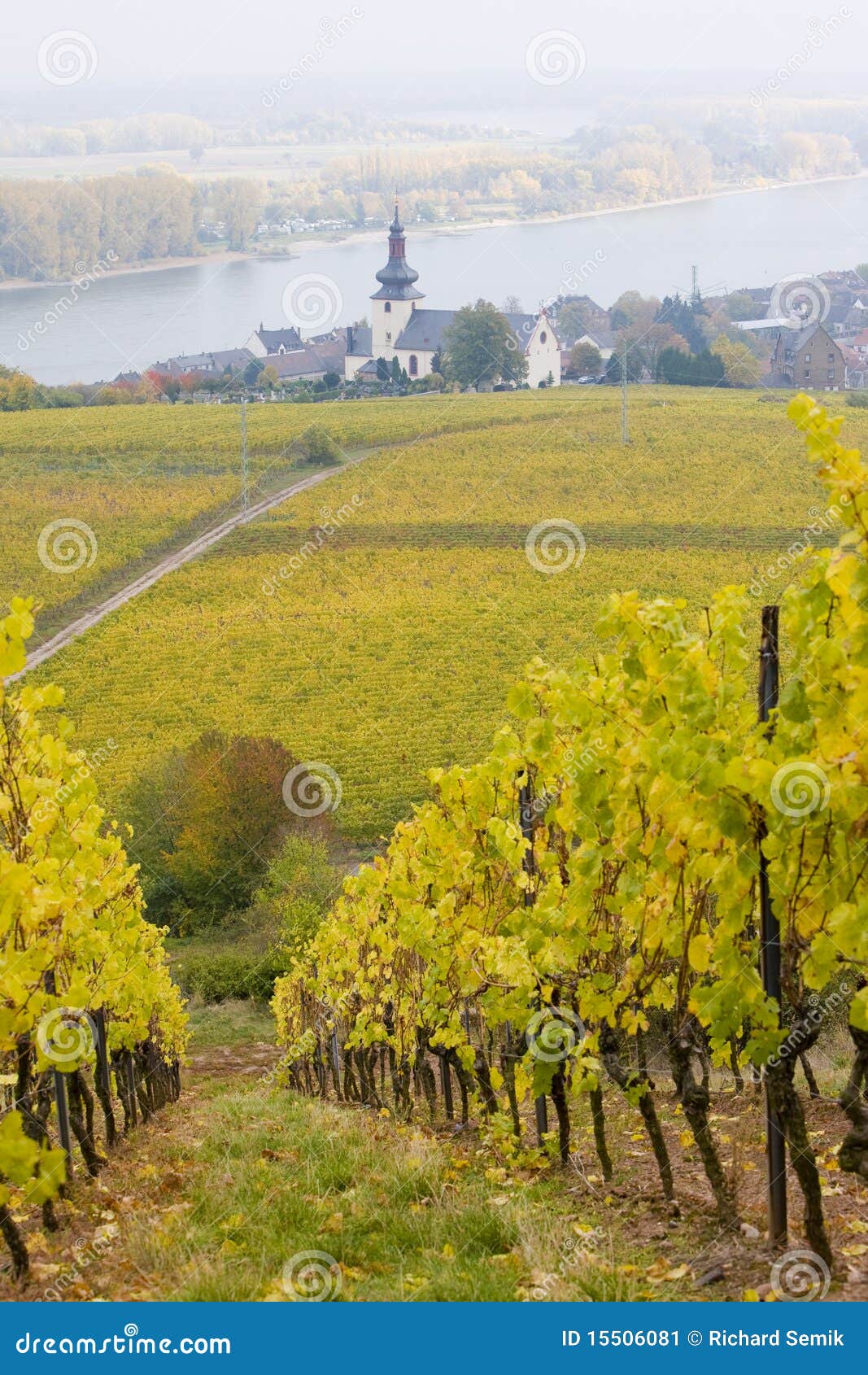 Village of Oppenheim stock image. Image of fall, germany - 15506081