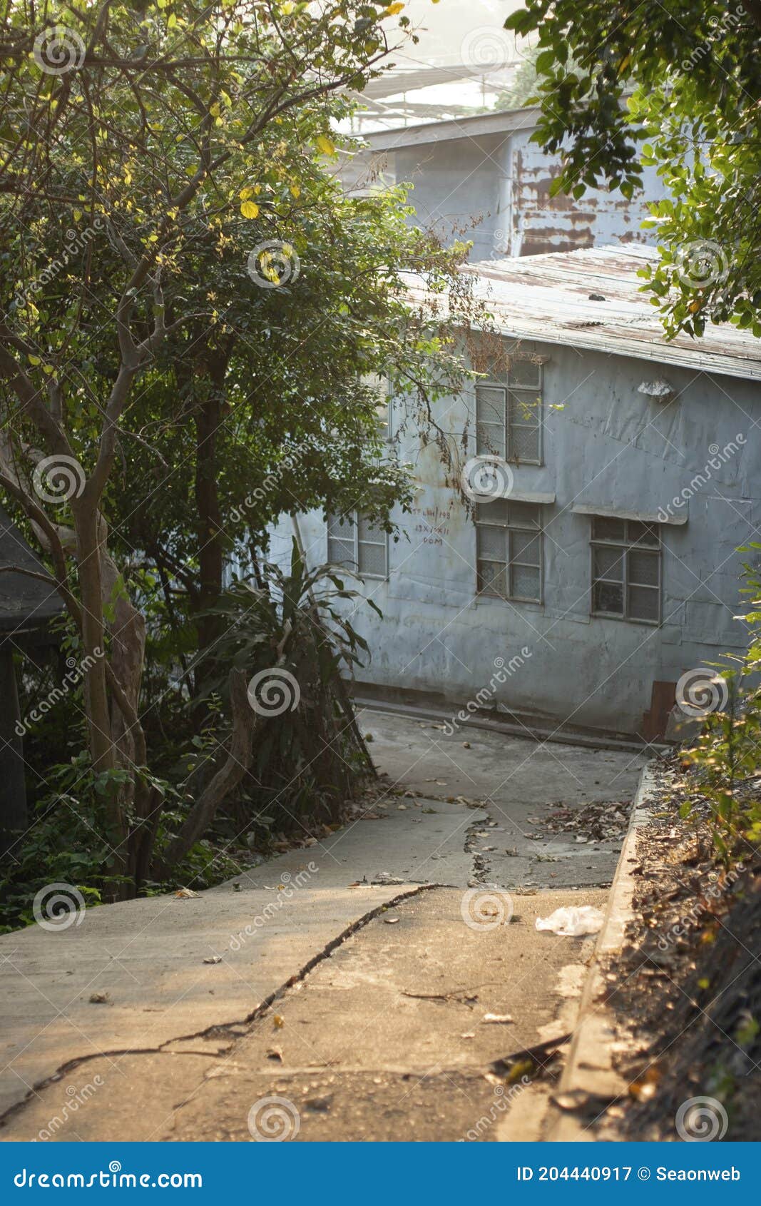 A Village Path at Countryside Hong Kong Stock Image - Image of ...