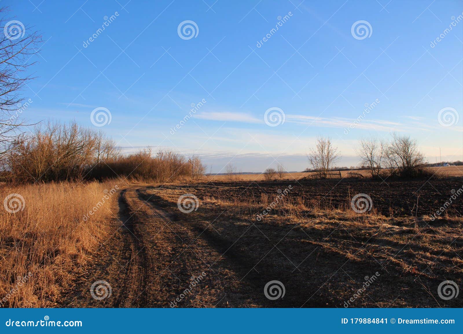 Village path in the field stock image. Image of tire - 179884841