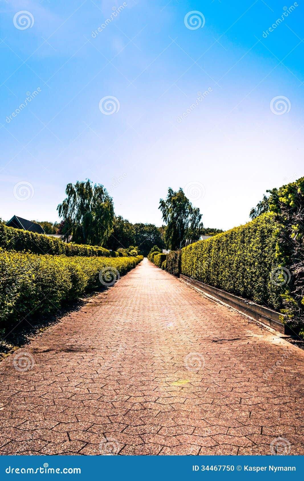 Village path stock photo. Image of landscape, decoration - 34467750