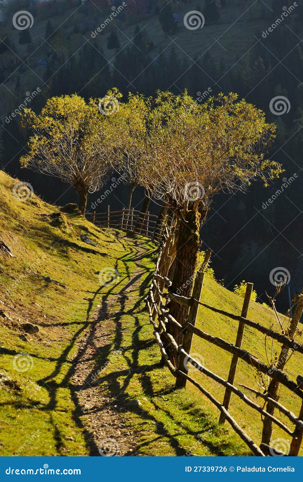 Village path in mountains stock photo. Image of grass - 27339726
