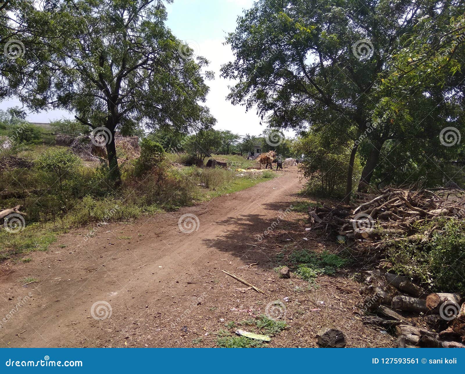 Village path stock image. Image of usefull, farmers - 127593561