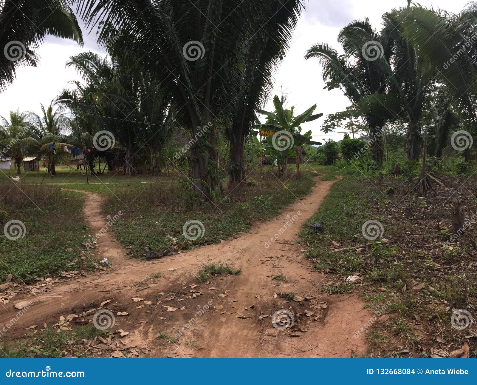 Village pathways stock photo. Image of village, trees - 132668084