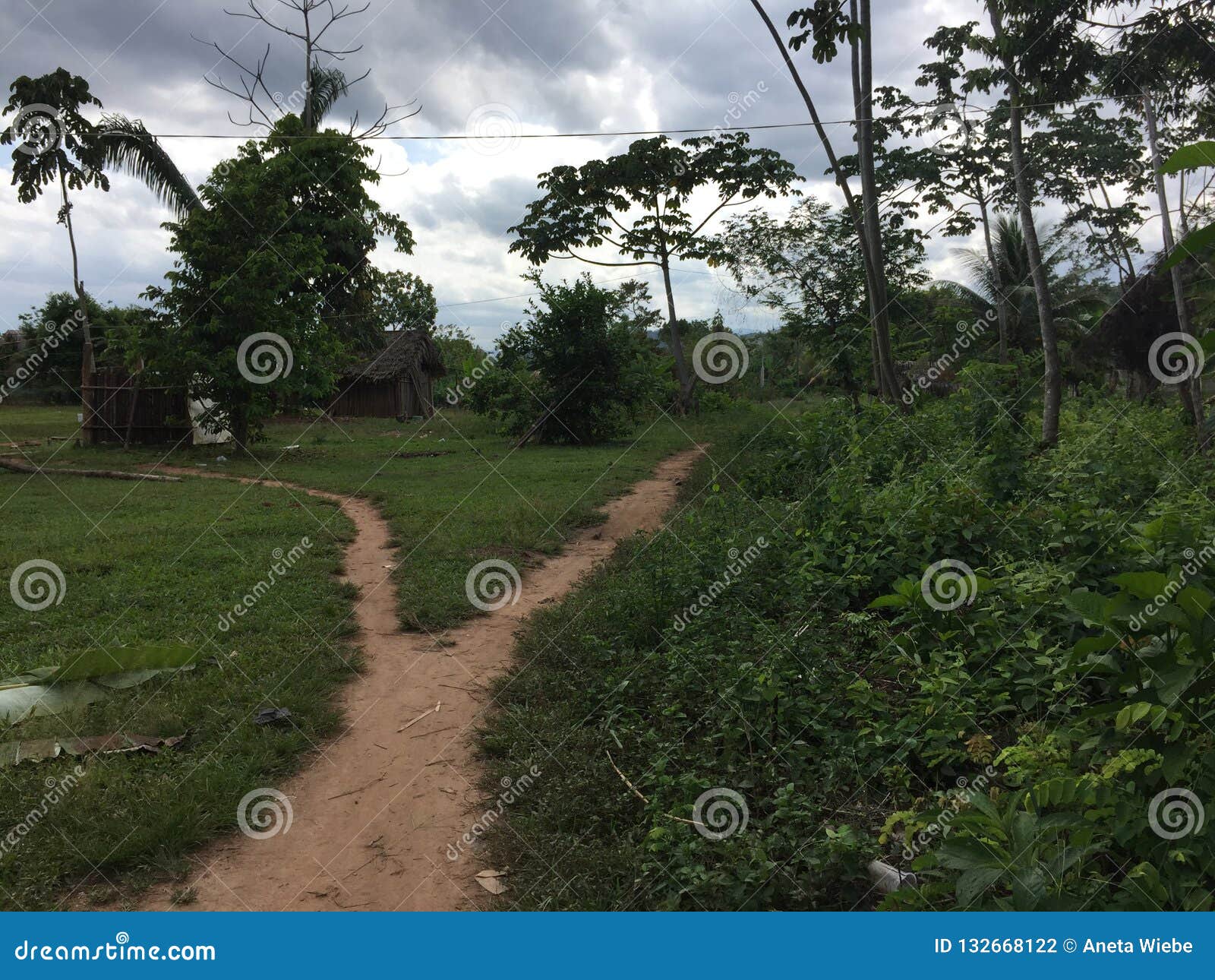 Village pathways stock photo. Image of palm, pathways - 132668122