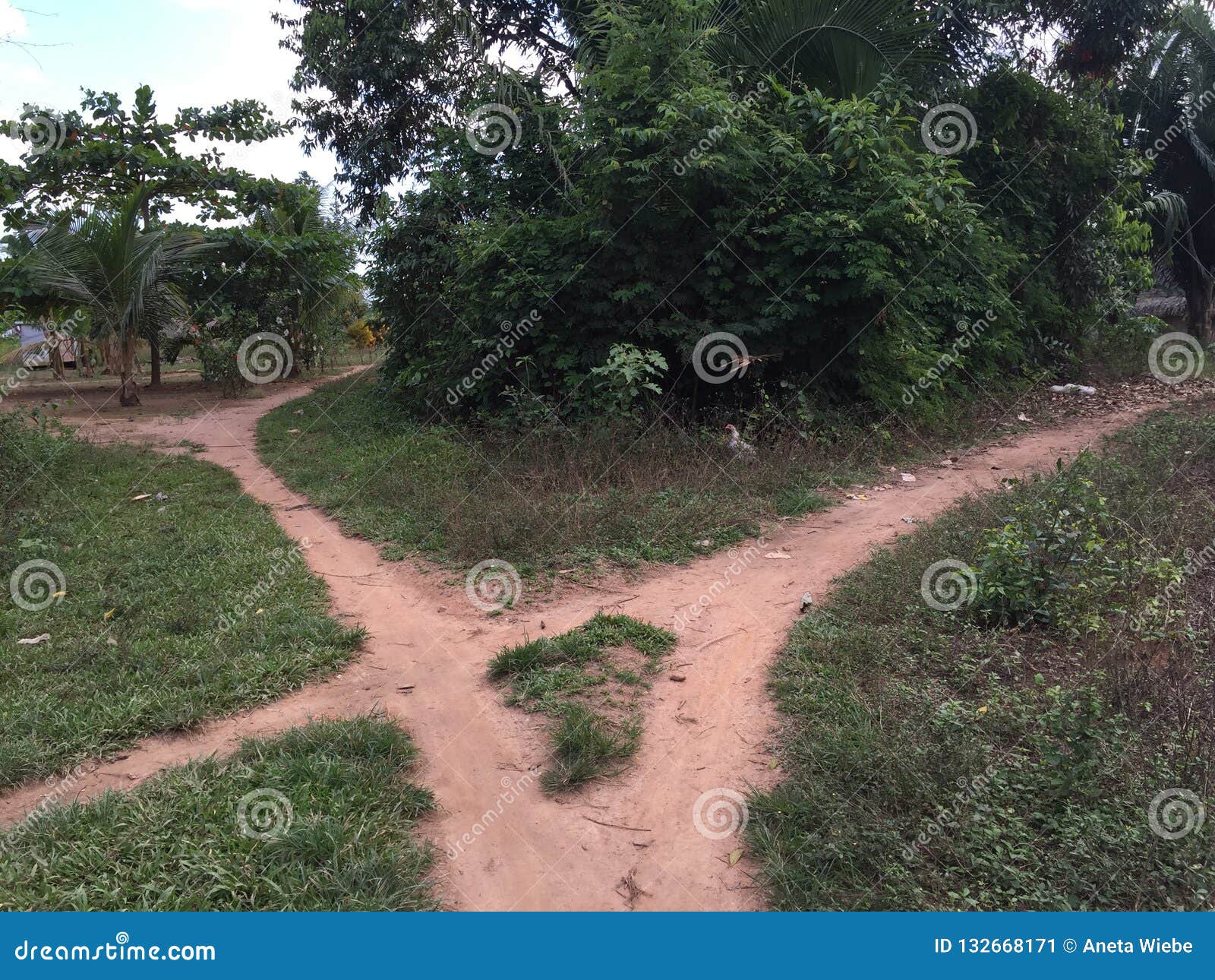 Village pathways stock image. Image of trees, pathways - 132668171