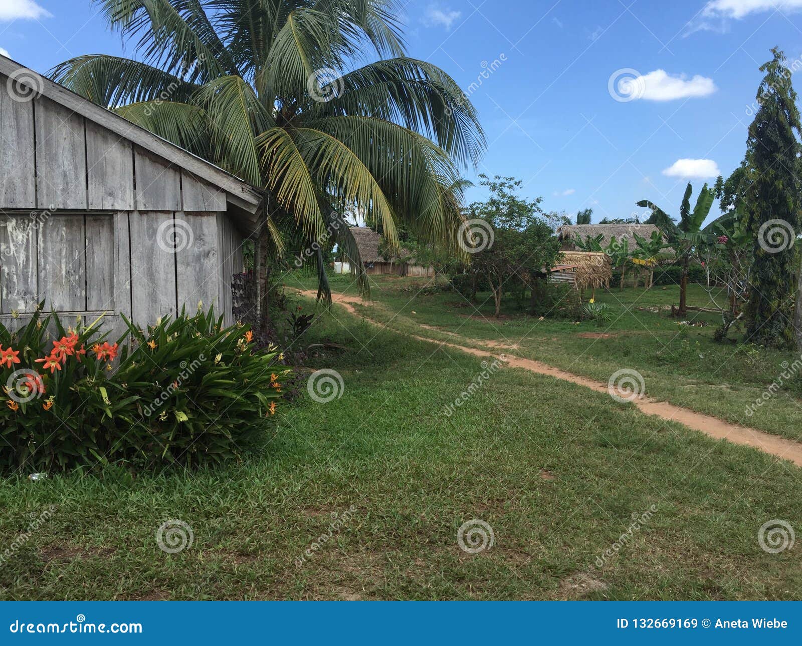 Village pathways stock image. Image of paths, palm, pathways - 132669169