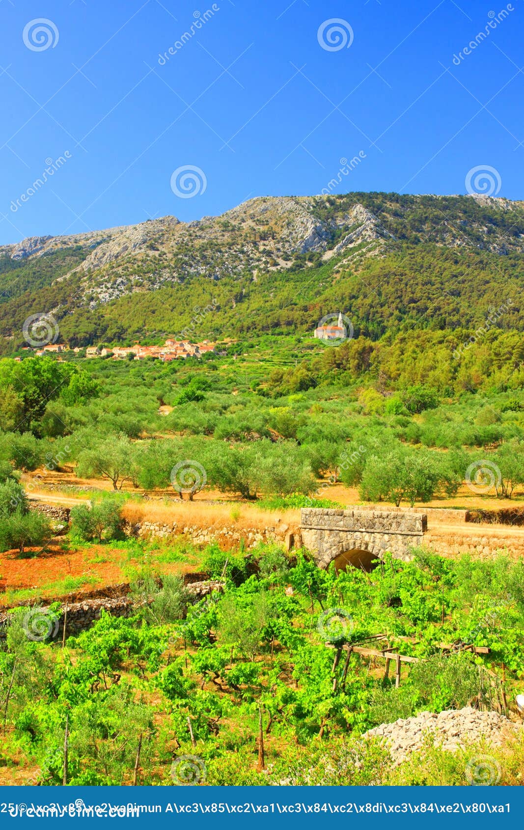 Village Pitve stock image. Image of hills, countryside - 95890325