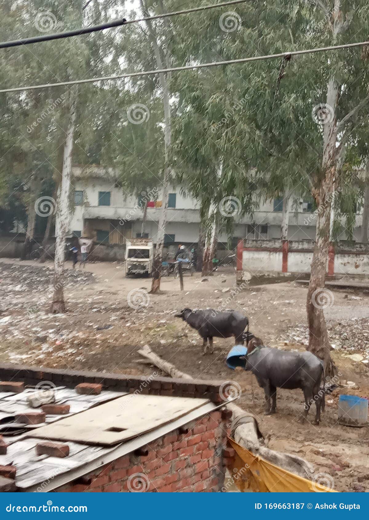 A Village Place in Lucknow City, India Stock Image - Image of lucknow ...