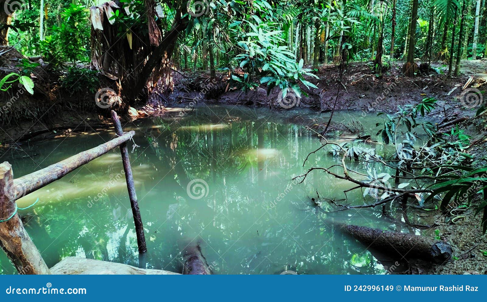 Village Pond BD stock image. Image of nature, pond, garden - 242996149