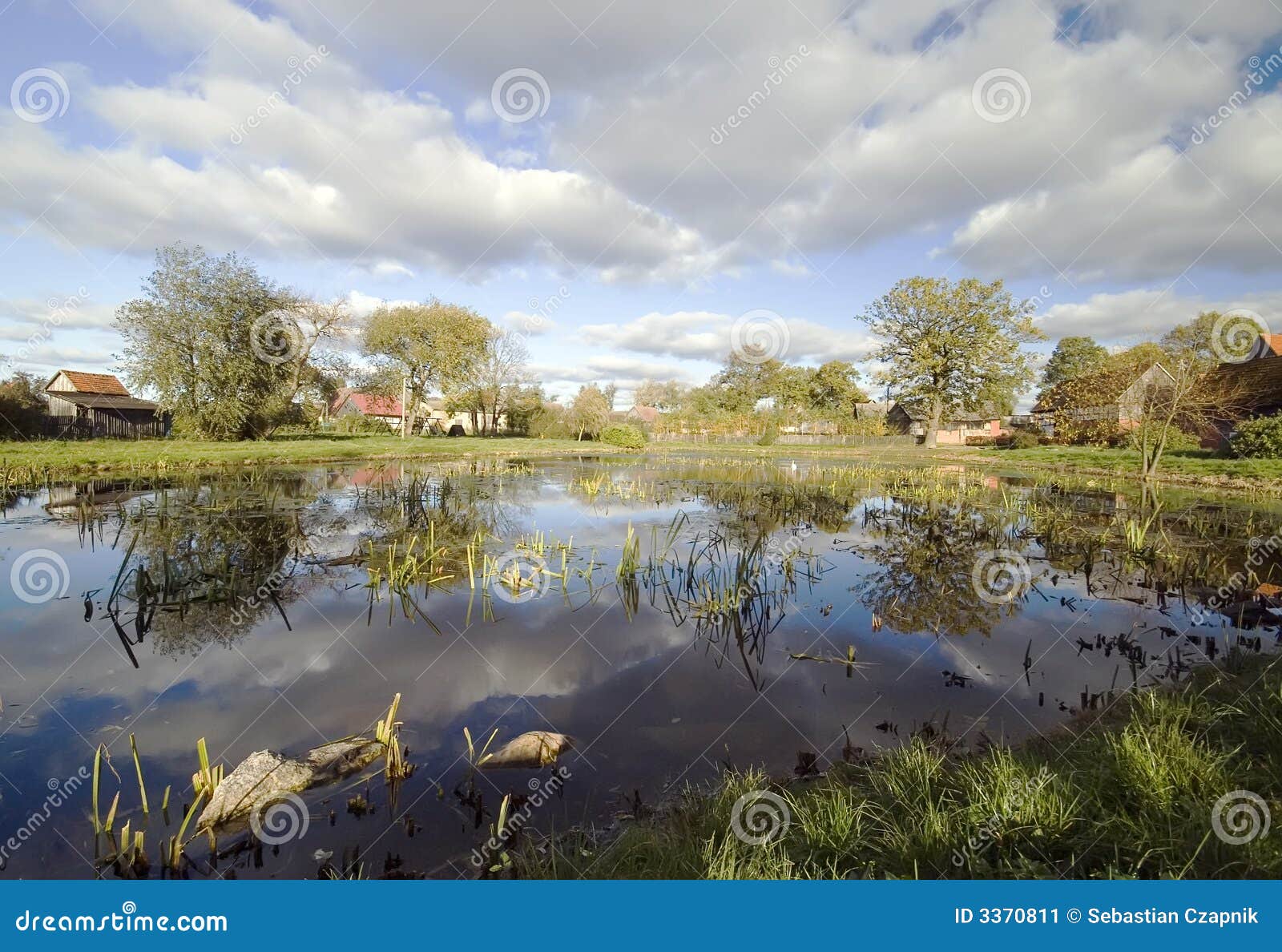 Village pond scenic stock image. Image of idyllic, area - 3370811