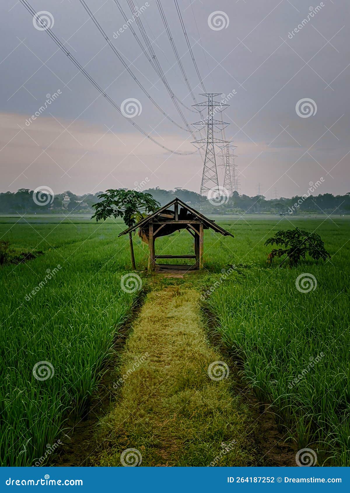 A Village in Purwakarta, West Java, Indonesia Stock Photo - Image of ...