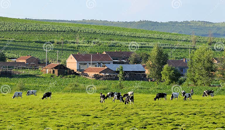 Village ranch stock photo. Image of rural, natural, building - 10373162
