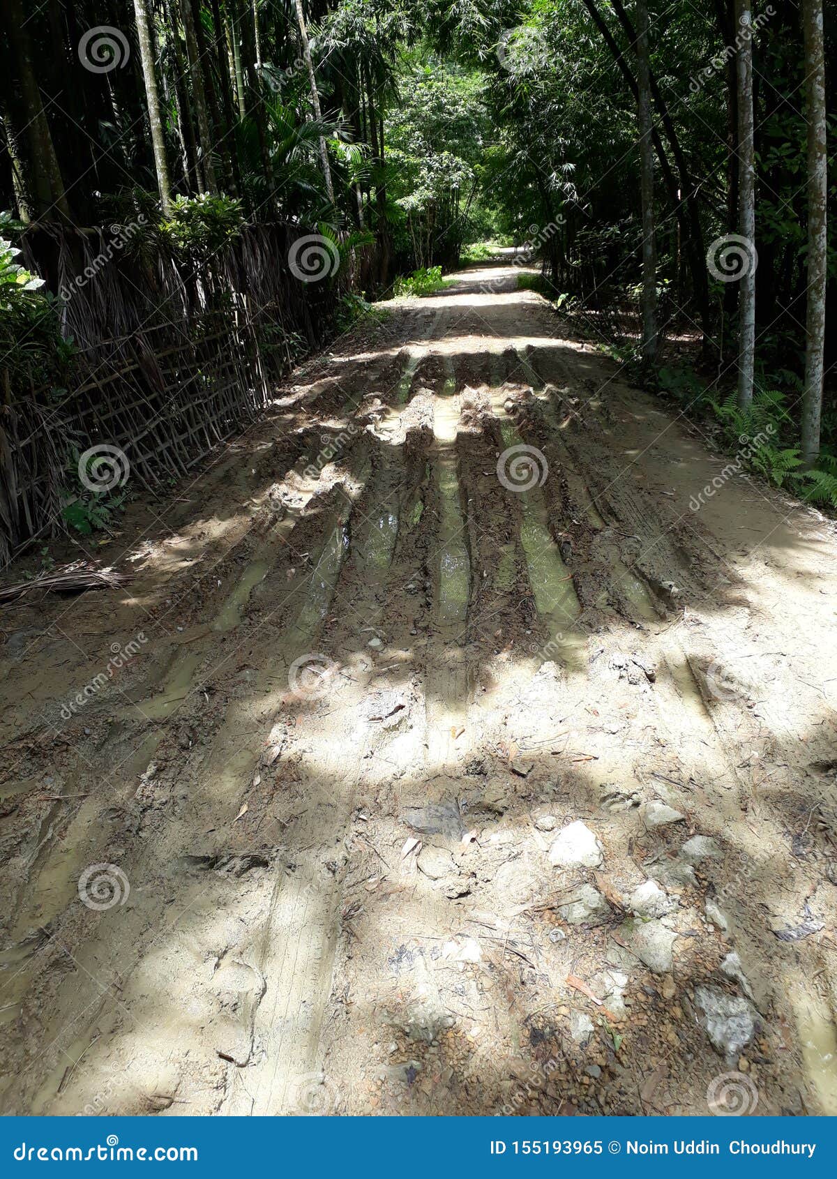 Village Road Bad Condition Not Constructed.people Feel so Much Problem ...