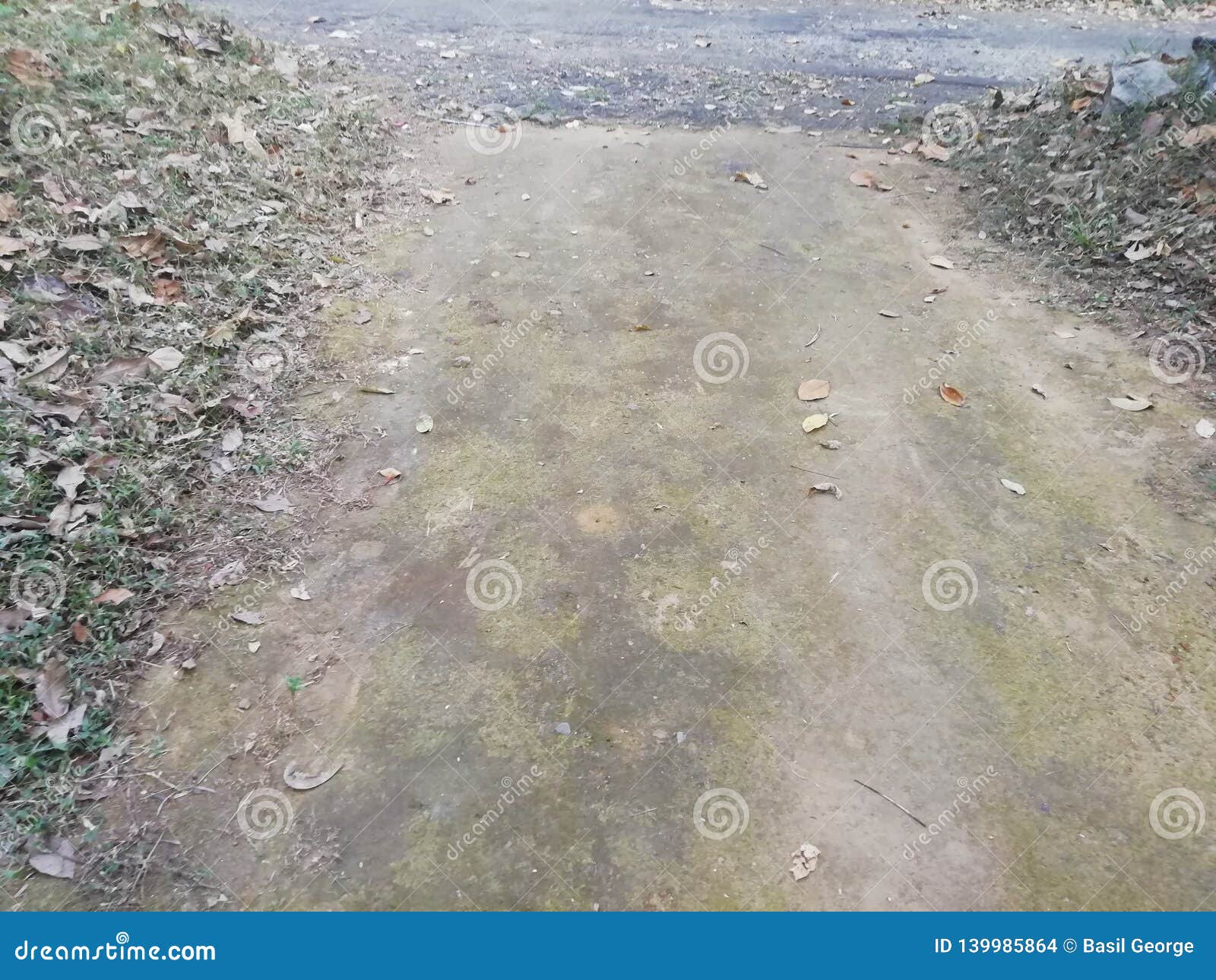 True way of nature stock photo. Image of beauty, nature - 139985864