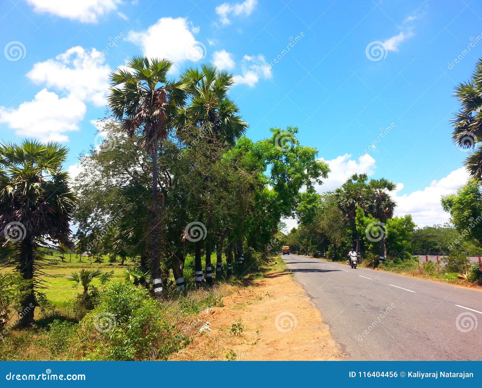Nature stock photo. Image of side, road, trees, nature - 116404456