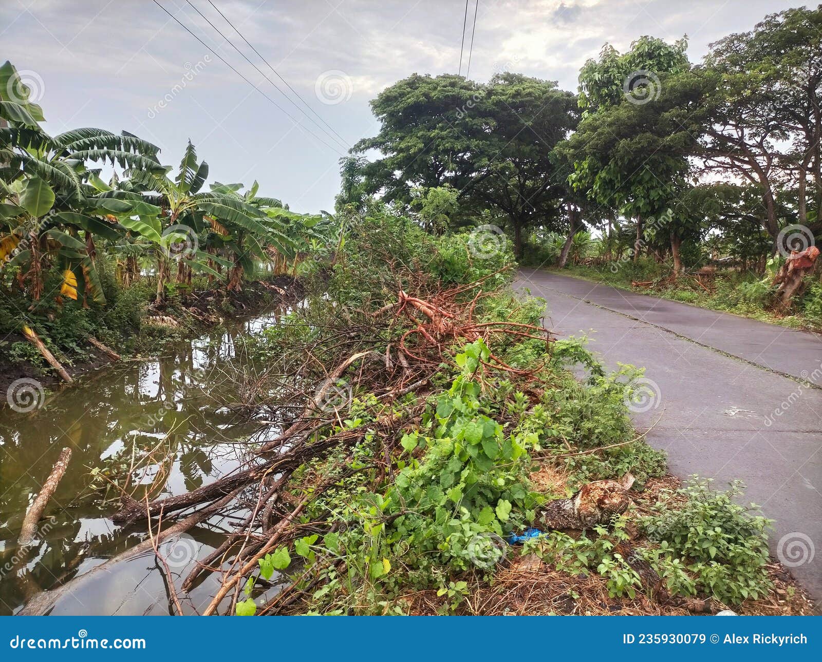 Village Road in the Side of River Stock Image - Image of road, garden ...
