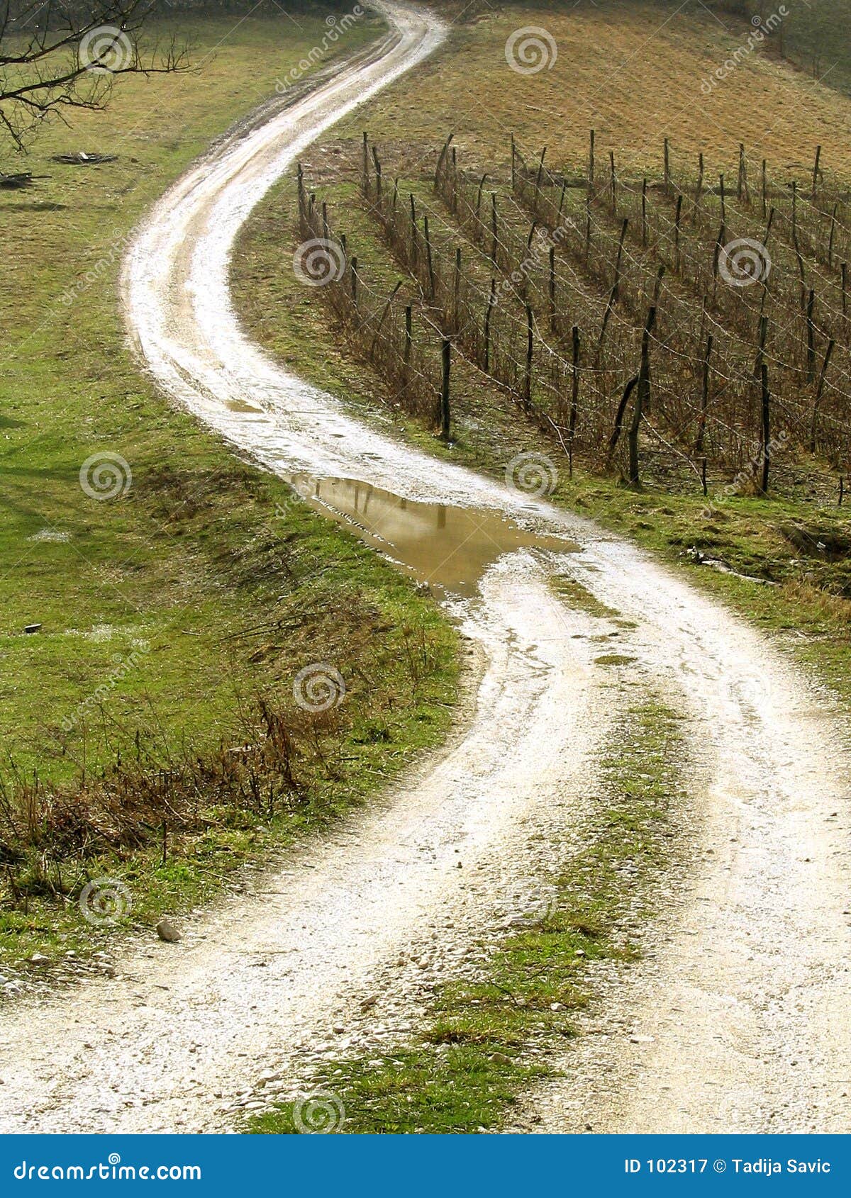 The Village s Road stock image. Image of mountain, flowering - 102317