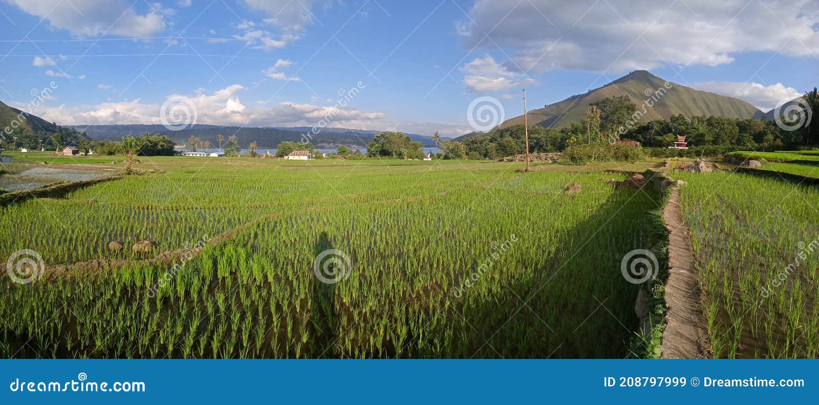 Village in samosir stock image. Image of pasture, grassland - 208797999