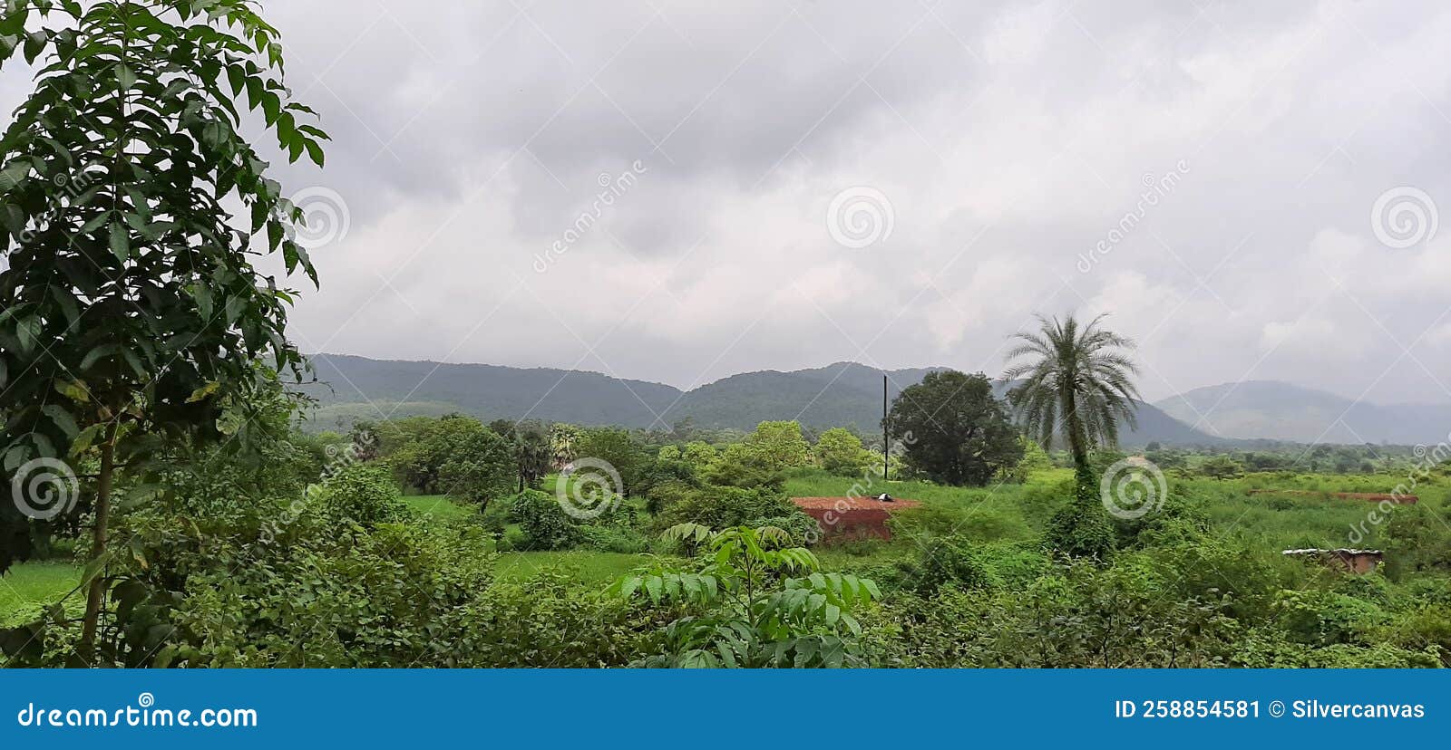 A Village Scene during Monsoon Stock Image - Image of plantation ...