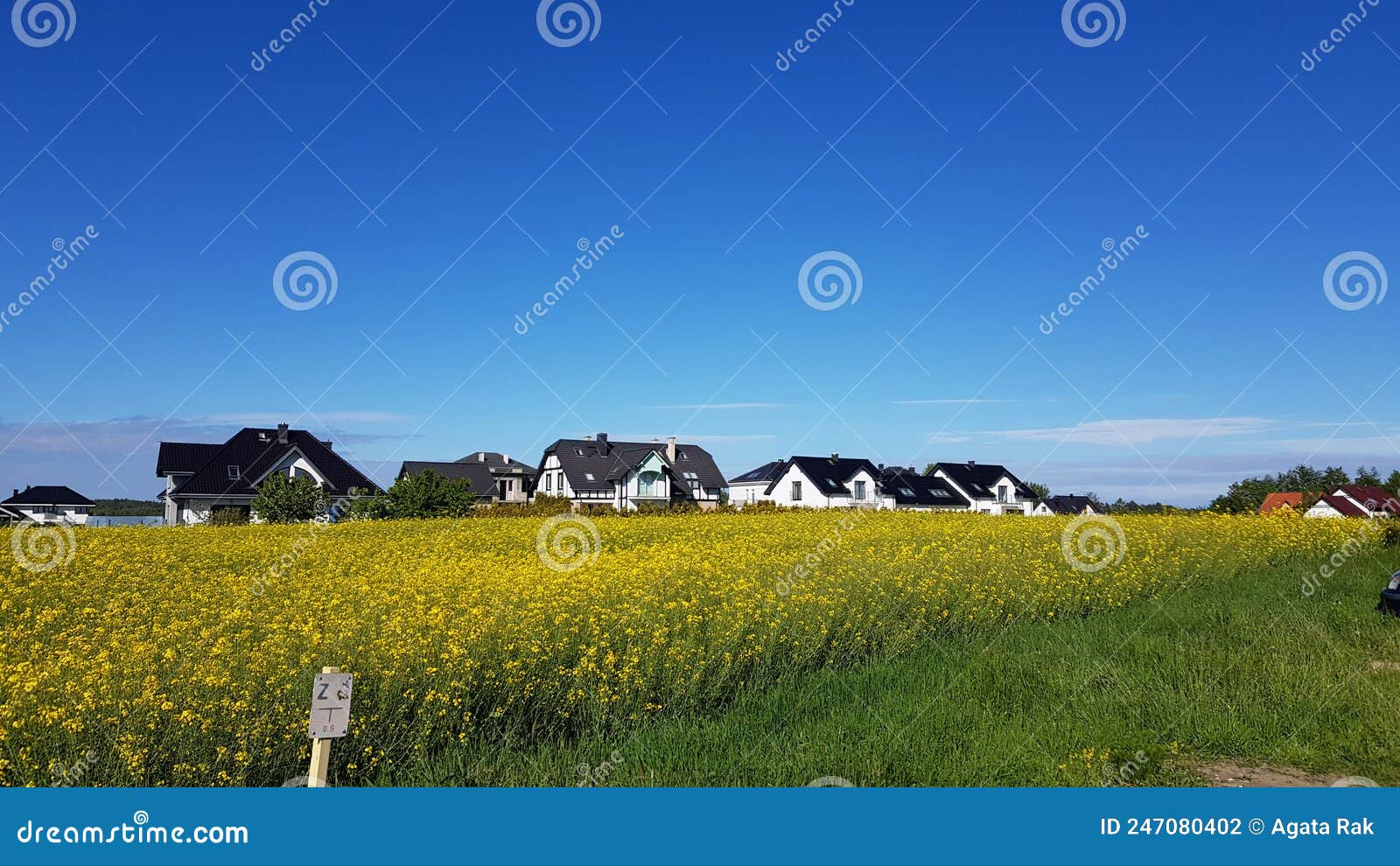 Village in spring stock photo. Image of food, hill, village - 247080402