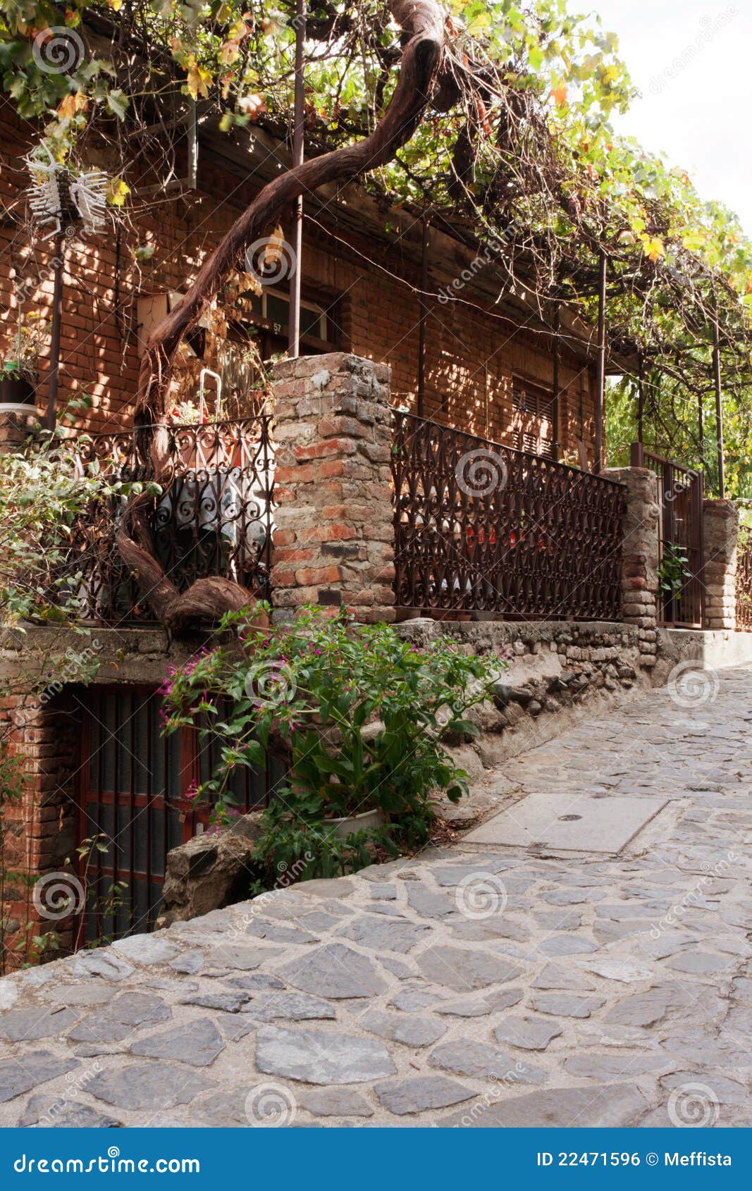 Village street stock photo. Image of tree, museum, architecture - 22471596