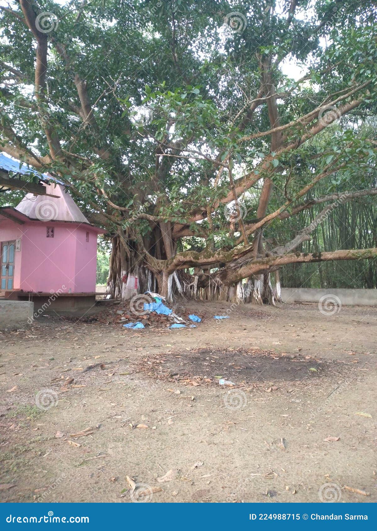 Beautiful Village and Temple and Tree Stock Image - Image of building ...
