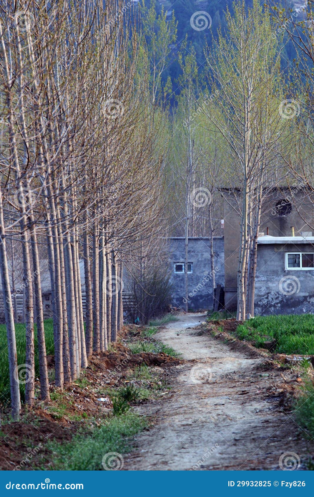 Village in spring stock image. Image of natural, fresh - 29932825