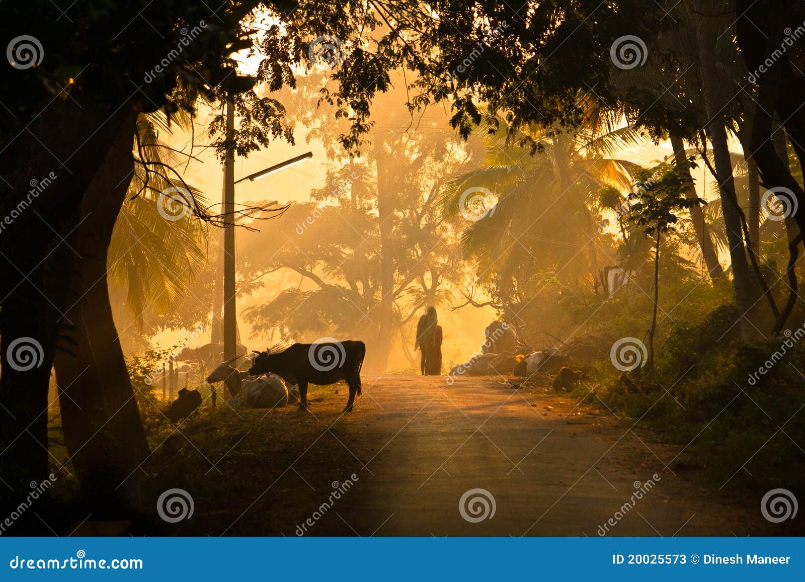 A Village View in Early Morning Stock Image - Image of golden, village ...