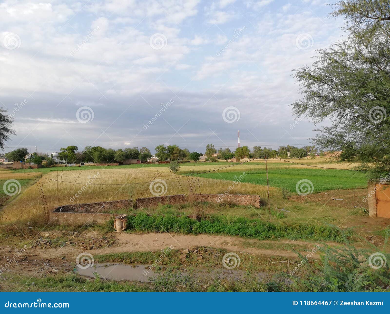 Village stock image. Image of filed, pakistan, village - 118664467