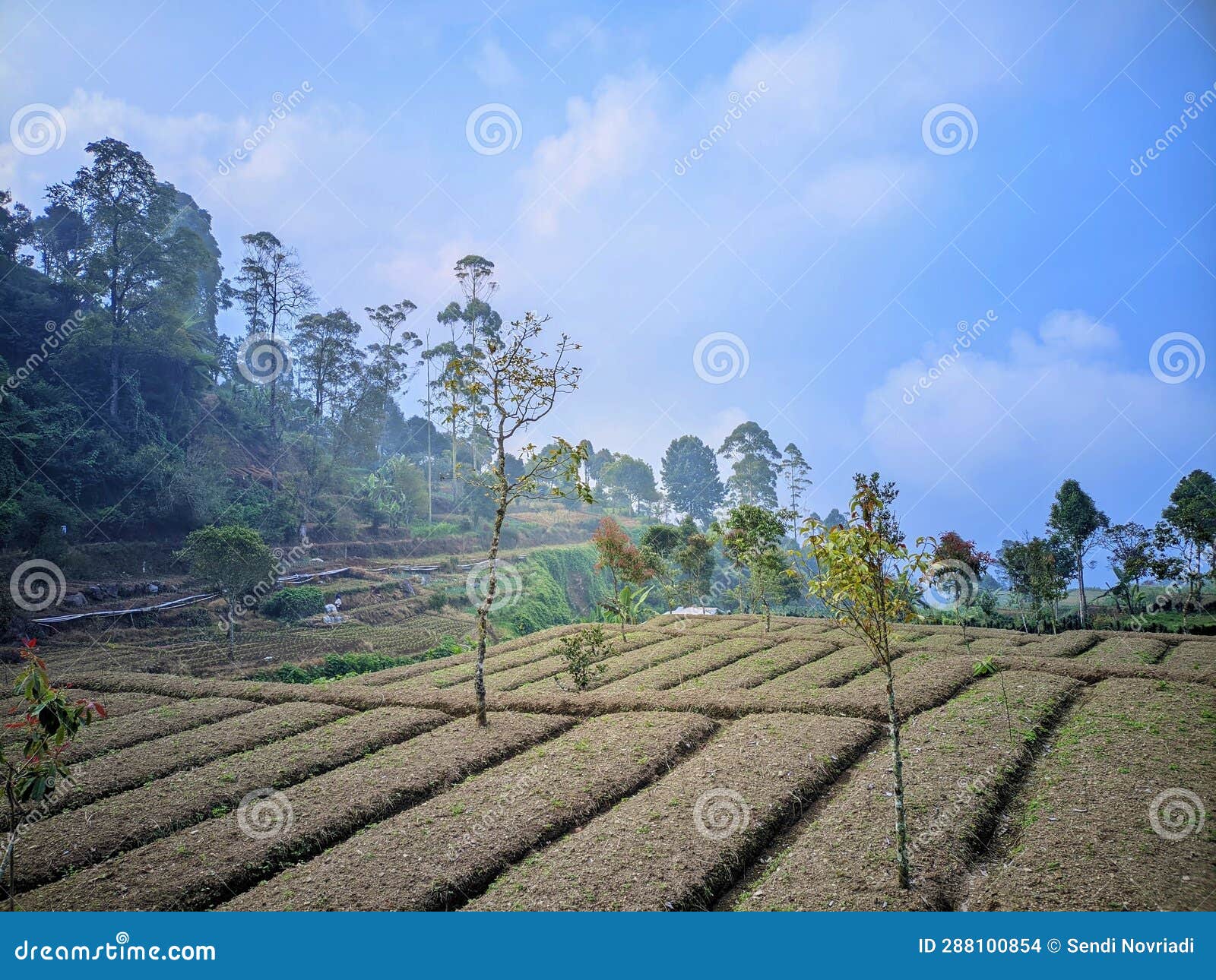 Village in West Java Mountain Gede Pangrango Stock Photo - Image of ...