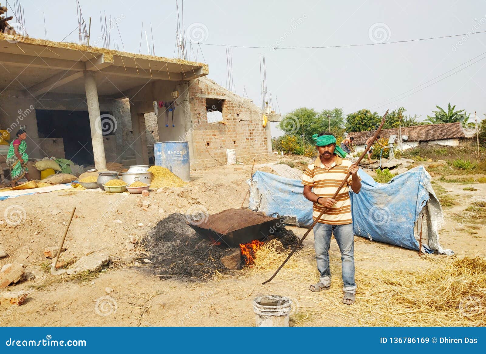 Paddy steaming editorial stock image. Image of rice - 136786169
