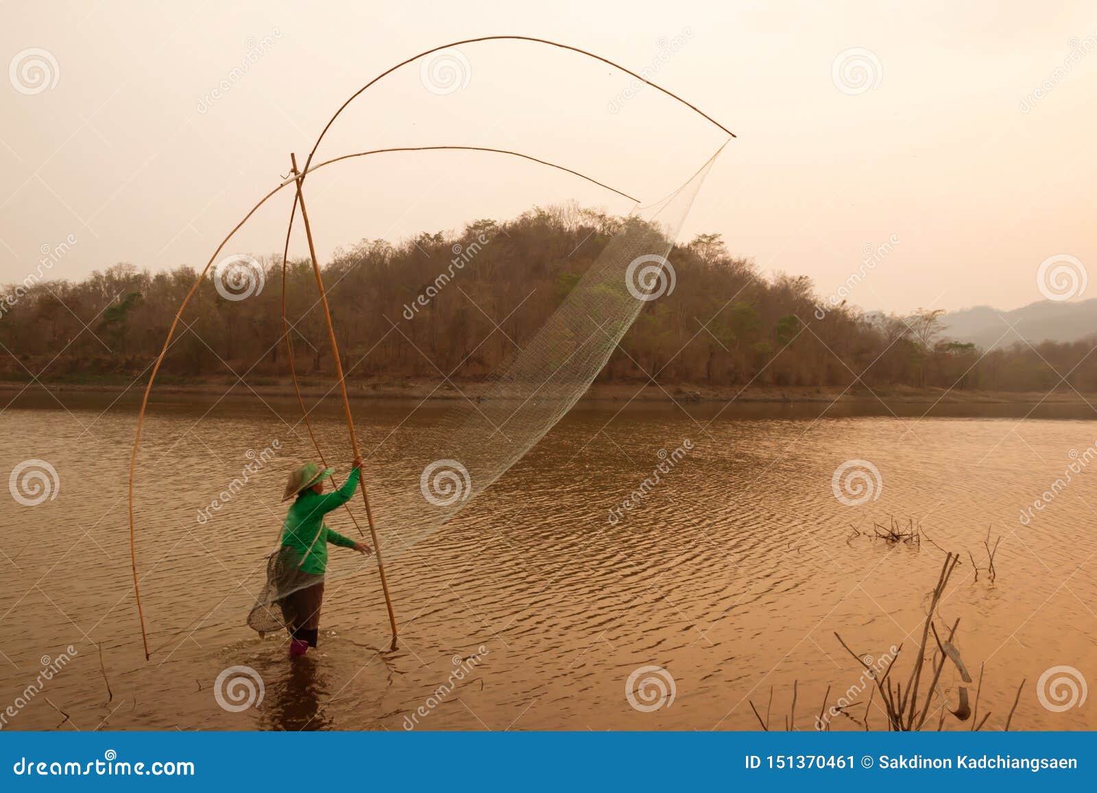 Villagers are Catching Fish by Fish Trap Net Trap Editorial Photo ...