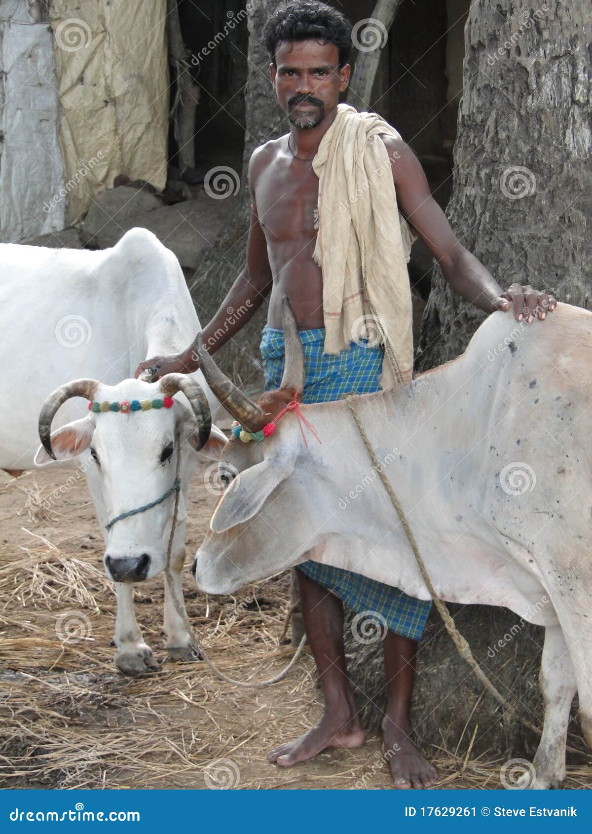 Villagers Pose for Their Portraits Editorial Photo - Image of portrait ...